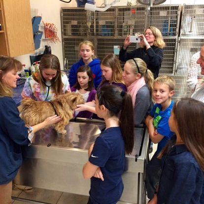 Community Service | Countryside Veterinary Clinic